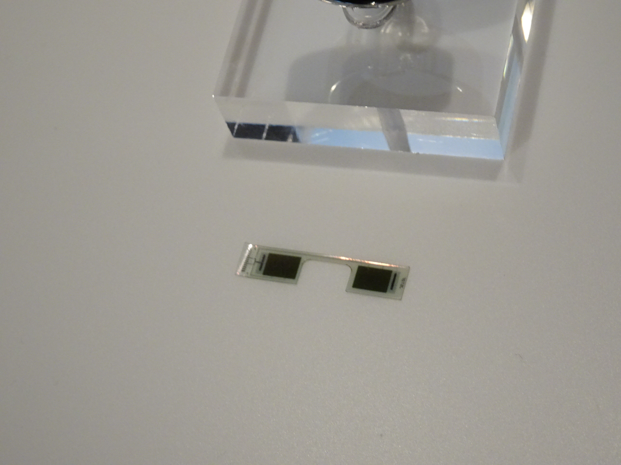 JDIが新事業、独自センサー搭載スマートリングで健康見守りサービス | 日経クロステック（xTECH）