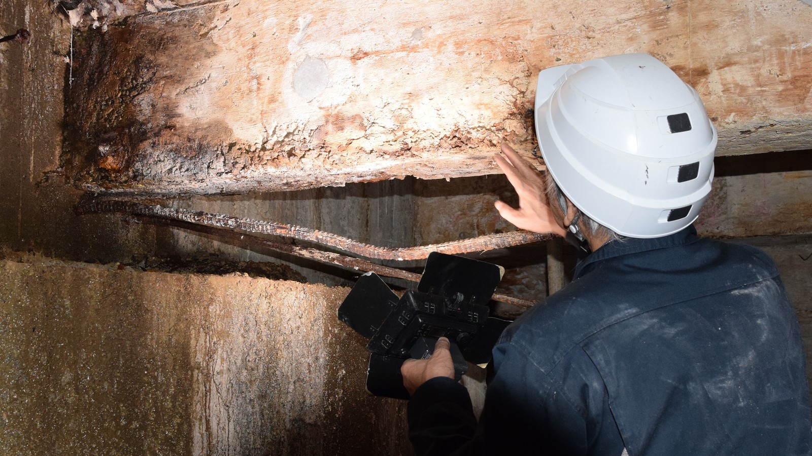 「東京海上 自動車 WEB証券」の検索結果 | 日経クロステック（xTECH）