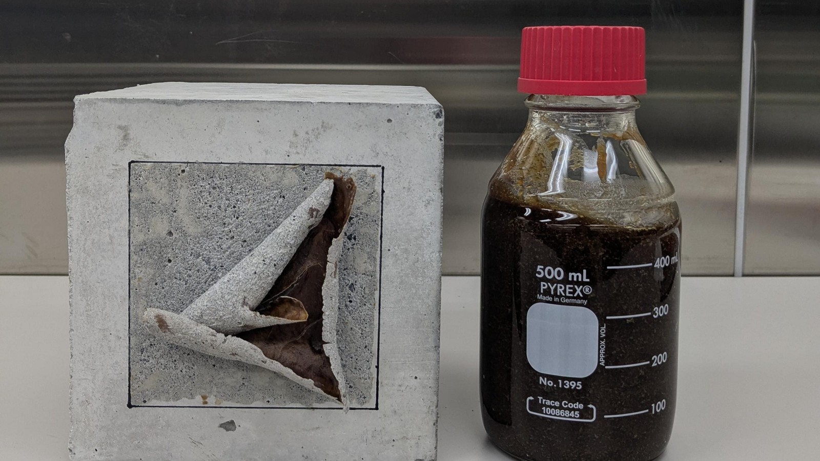 Alphabetが46％増益、ネット広告好調で懸念払拭 Google Cloudも成長続く | 日経クロステック（xTECH）