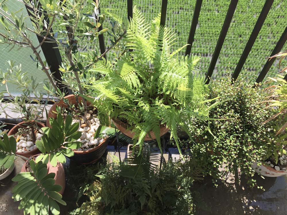 Excelで画像編集、円形に切り抜いた後に歪みを調整して表示する | 日経クロステック（xTECH）