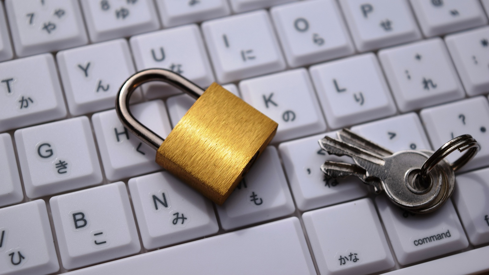 SDV実現に向けホンダがAWSと協業、EV充電に生成AIを活用するPoCに着手 | 日経クロステック（xTECH）