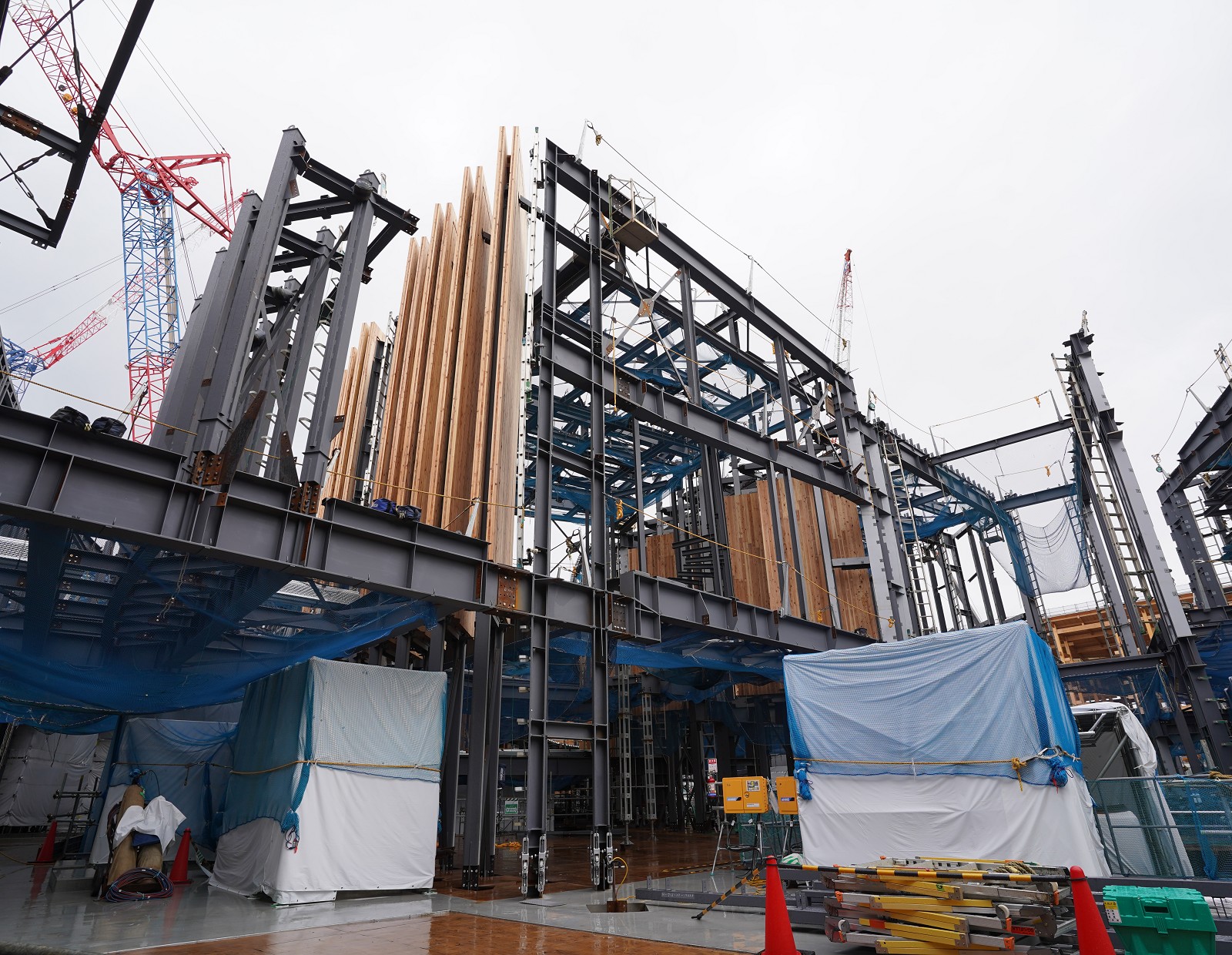 260枚のCLTパネルが囲む万博「日本館」、命の循環を円形配置の木材で表現 | 日経クロステック（xTECH）