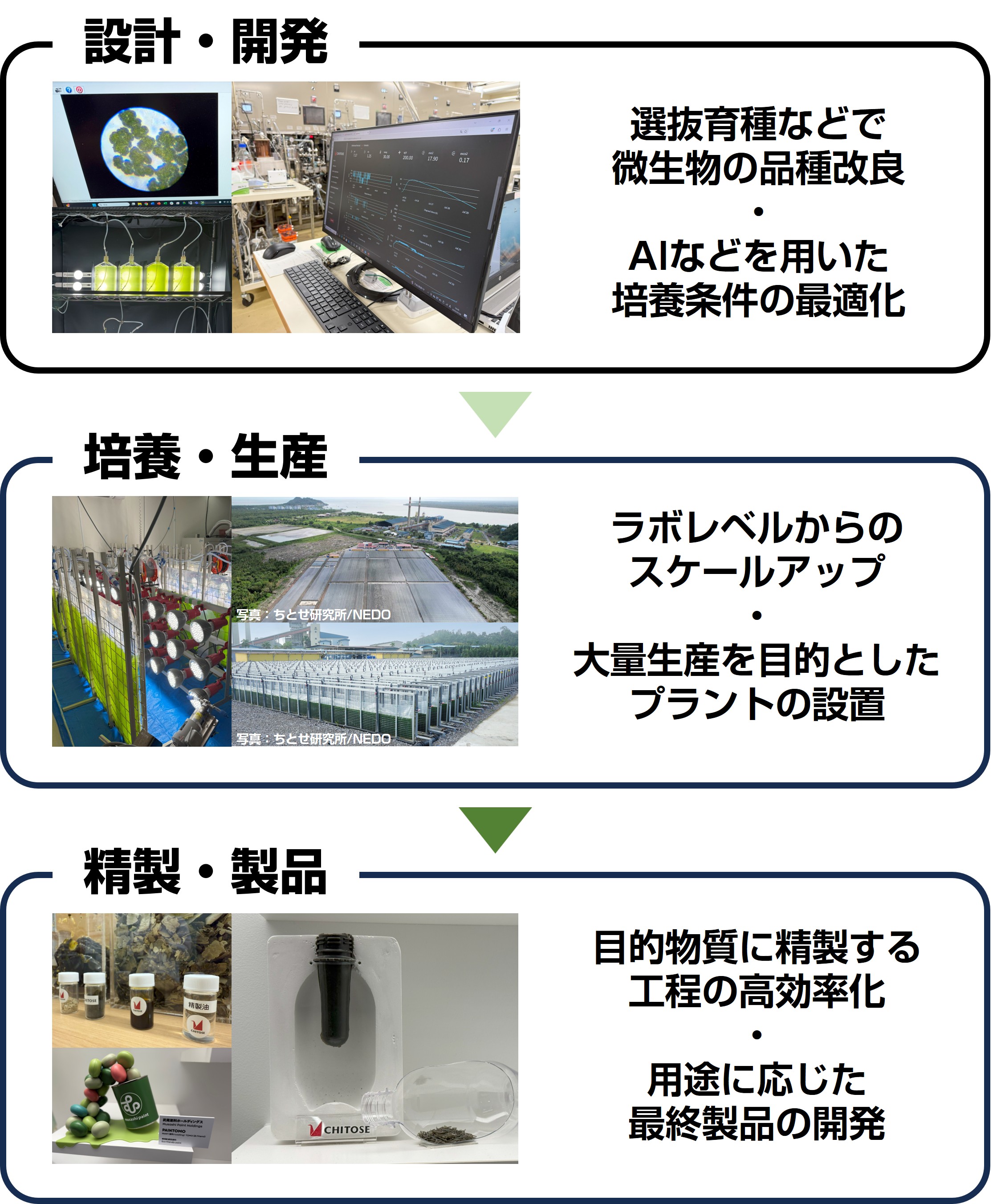 万博・日本館の主役は微細藻類ものづくり、発電所のCO2で大量培養も | 日経クロステック（xTECH）
