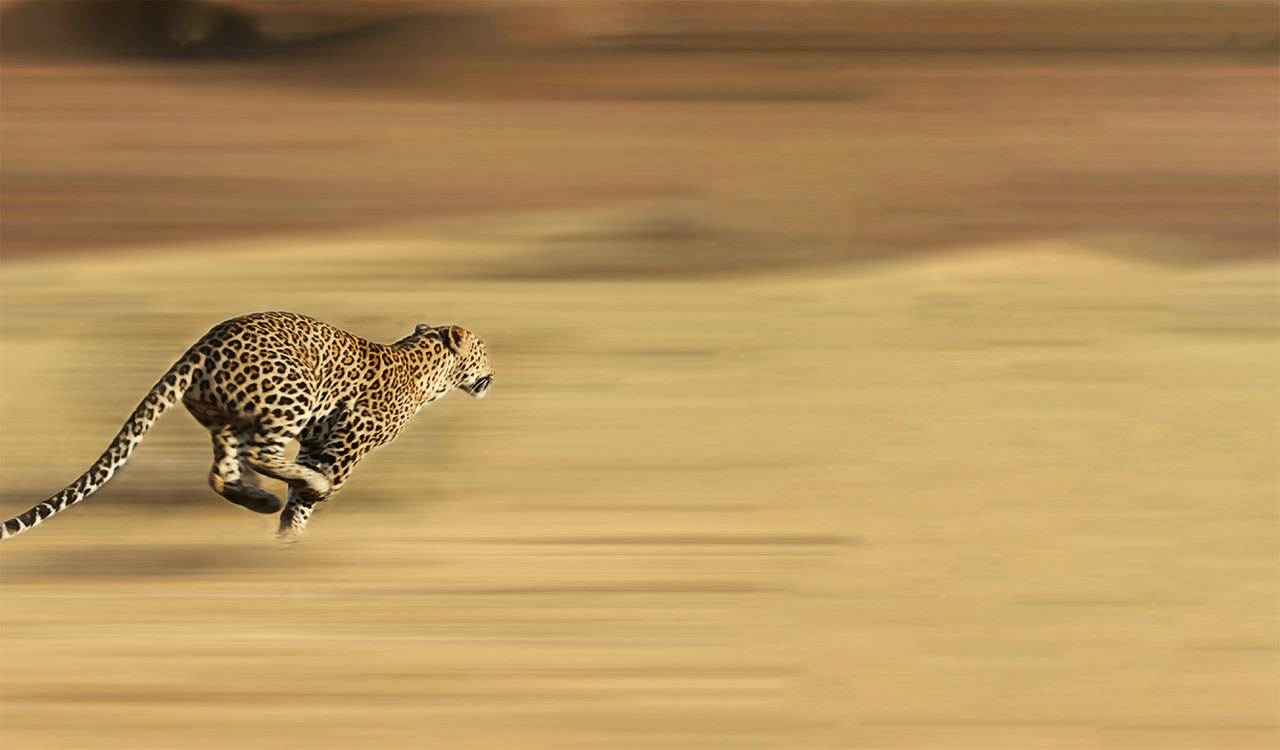 横型GaN猛追 | 日経クロステック（xTECH）