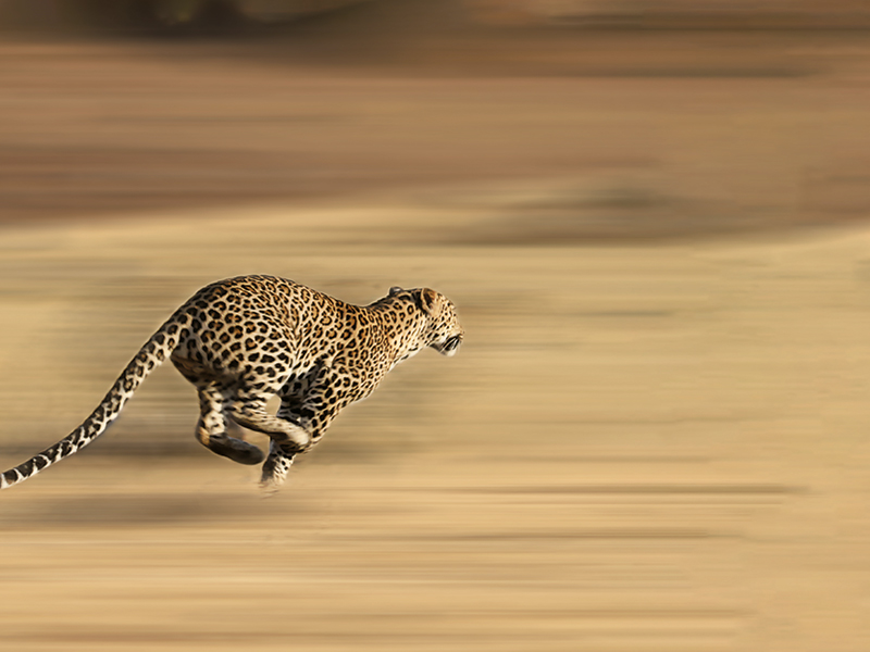 横型GaN猛追 | 日経クロステック（xTECH）