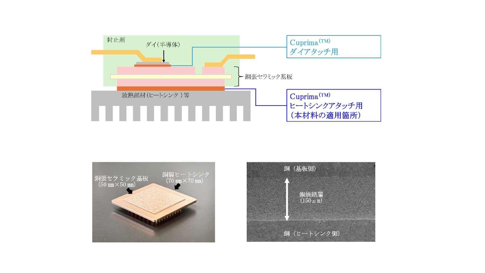 紙焼き写真をデジタル化する5つの方法、コストや仕上がり品質で比較 | 日経クロステック（xTECH）